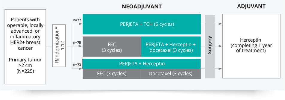 PERJETA® (pertuzumab) Neoadjuvant Trial Design | HCP