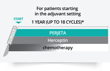 Perjeta Mechanism Of Action