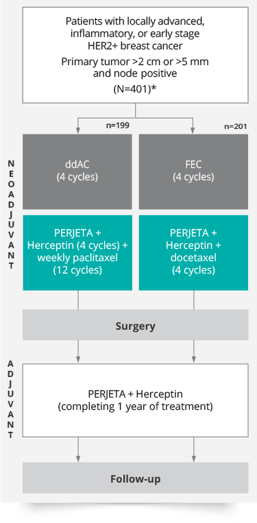 PERJETA® (pertuzumab) Neoadjuvant Trial Design | HCP