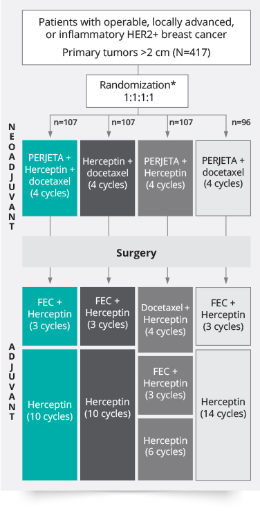 PERJETA® (pertuzumab) Neoadjuvant Trial Design | HCP