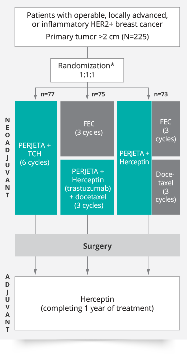 PERJETA® (pertuzumab) Neoadjuvant Trial Design | HCP